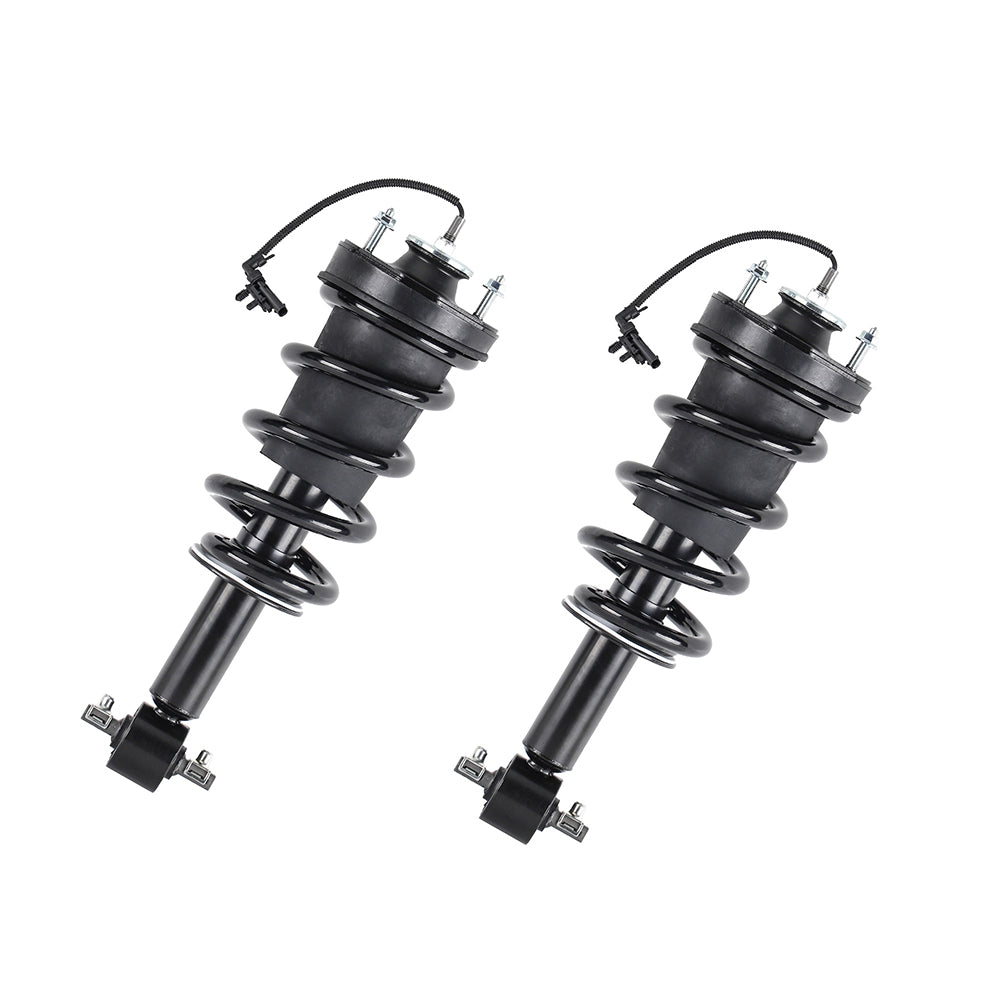 Richeer 2PCS Front Strut Shock Absorber Magnetic Springs 84176631 for